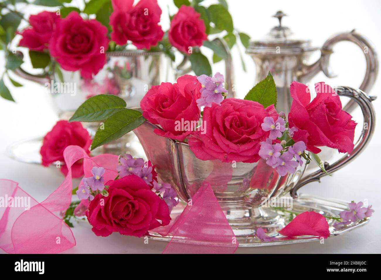 Roses for containers hi-res stock photography and images - Alamy