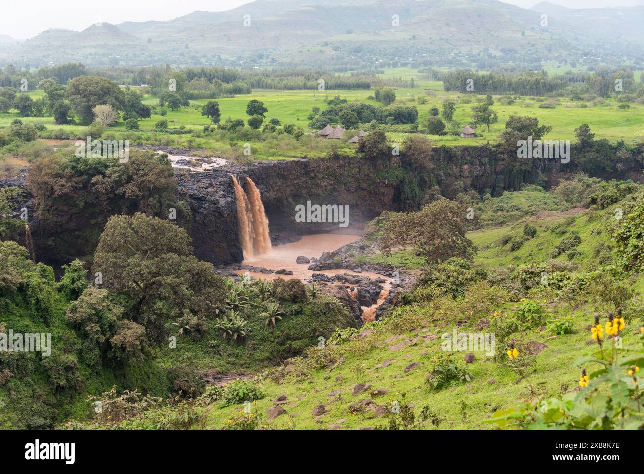 The White Nile waterfalls in Ethiopia, known as White Nile section ...