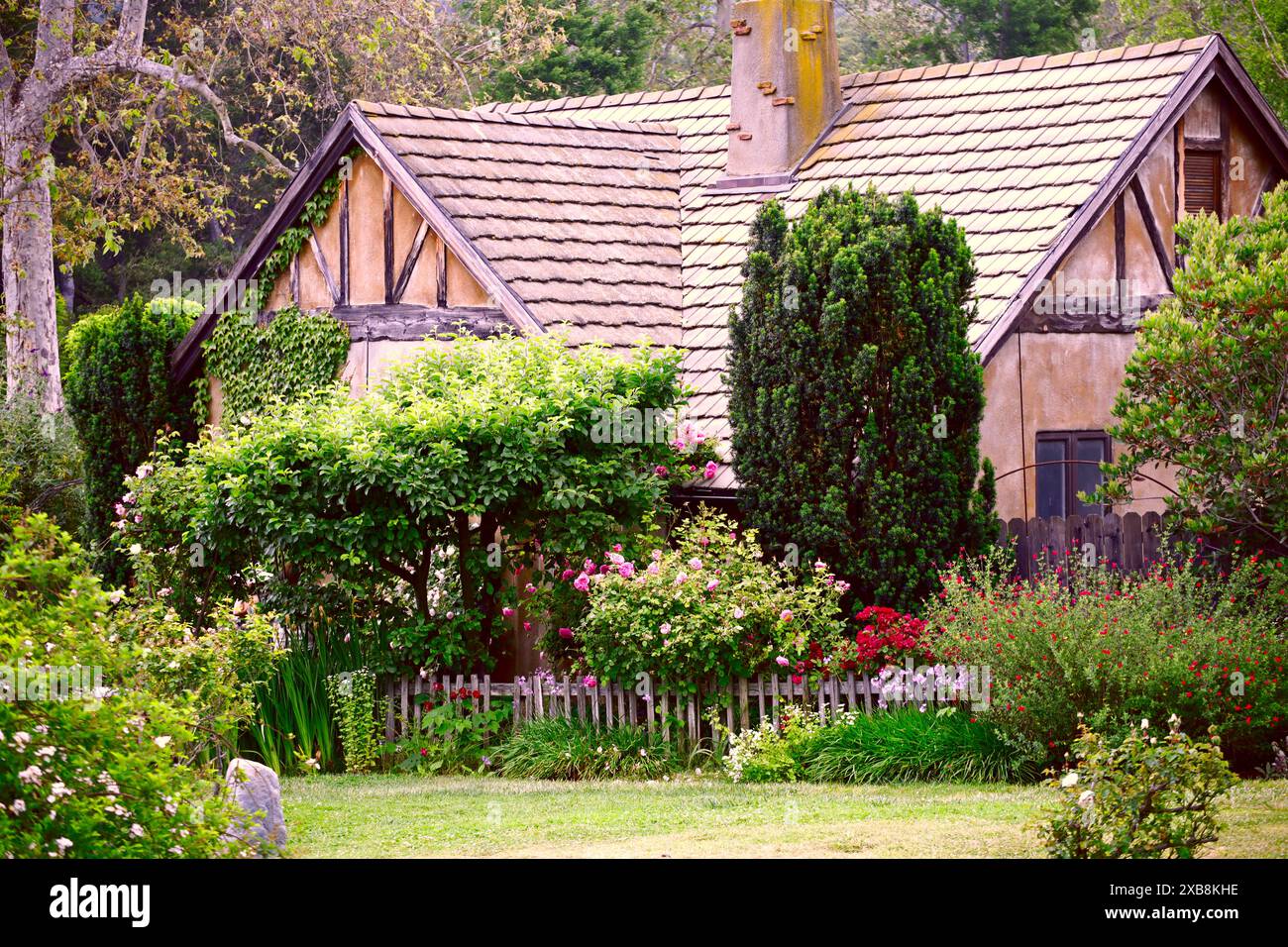A house with a garden view tree flowers green grass roses and tall ...