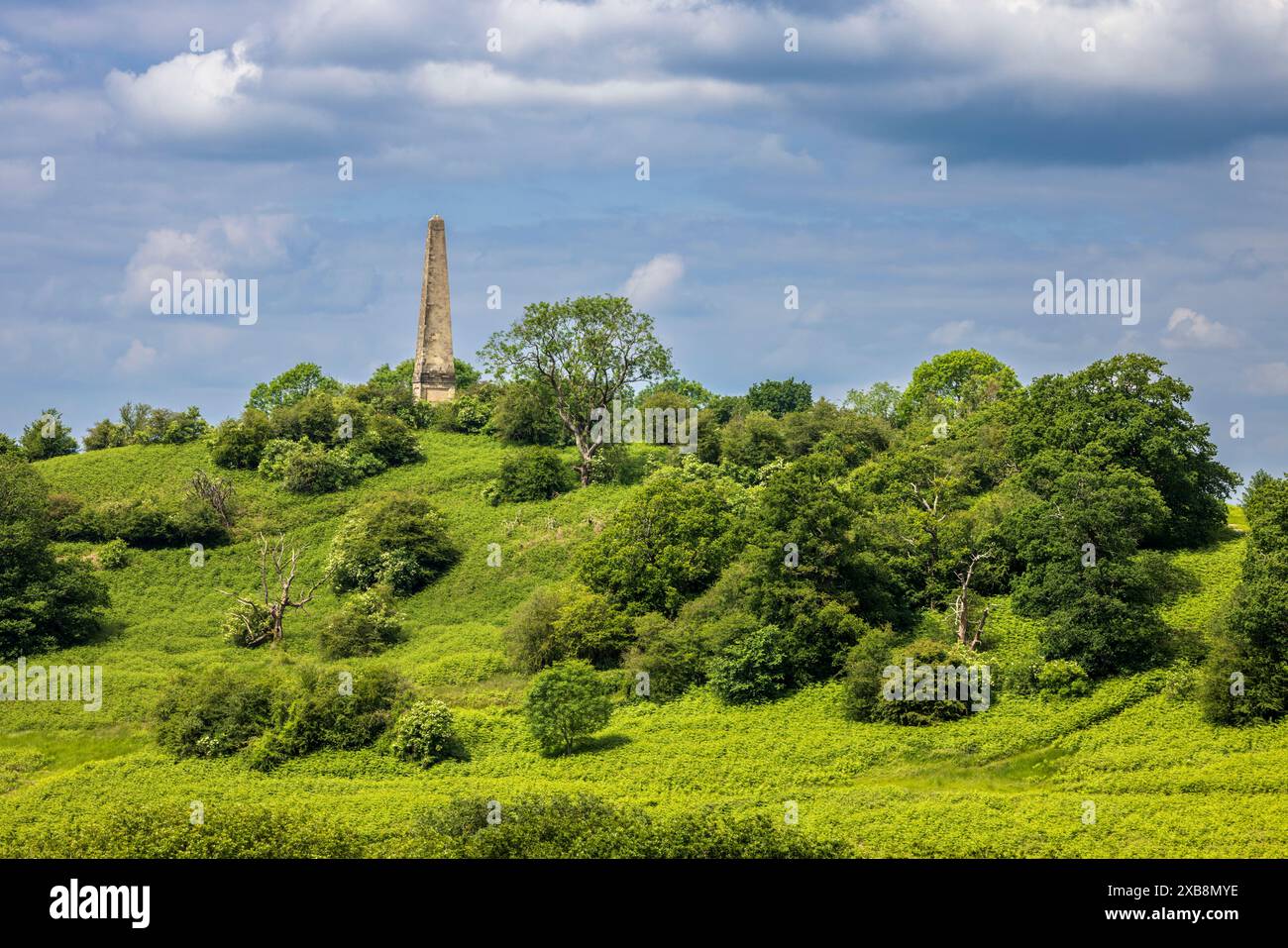 Eastnor Castle Obelisk, Malverns, Herefordshire / Worcestershire Stock ...