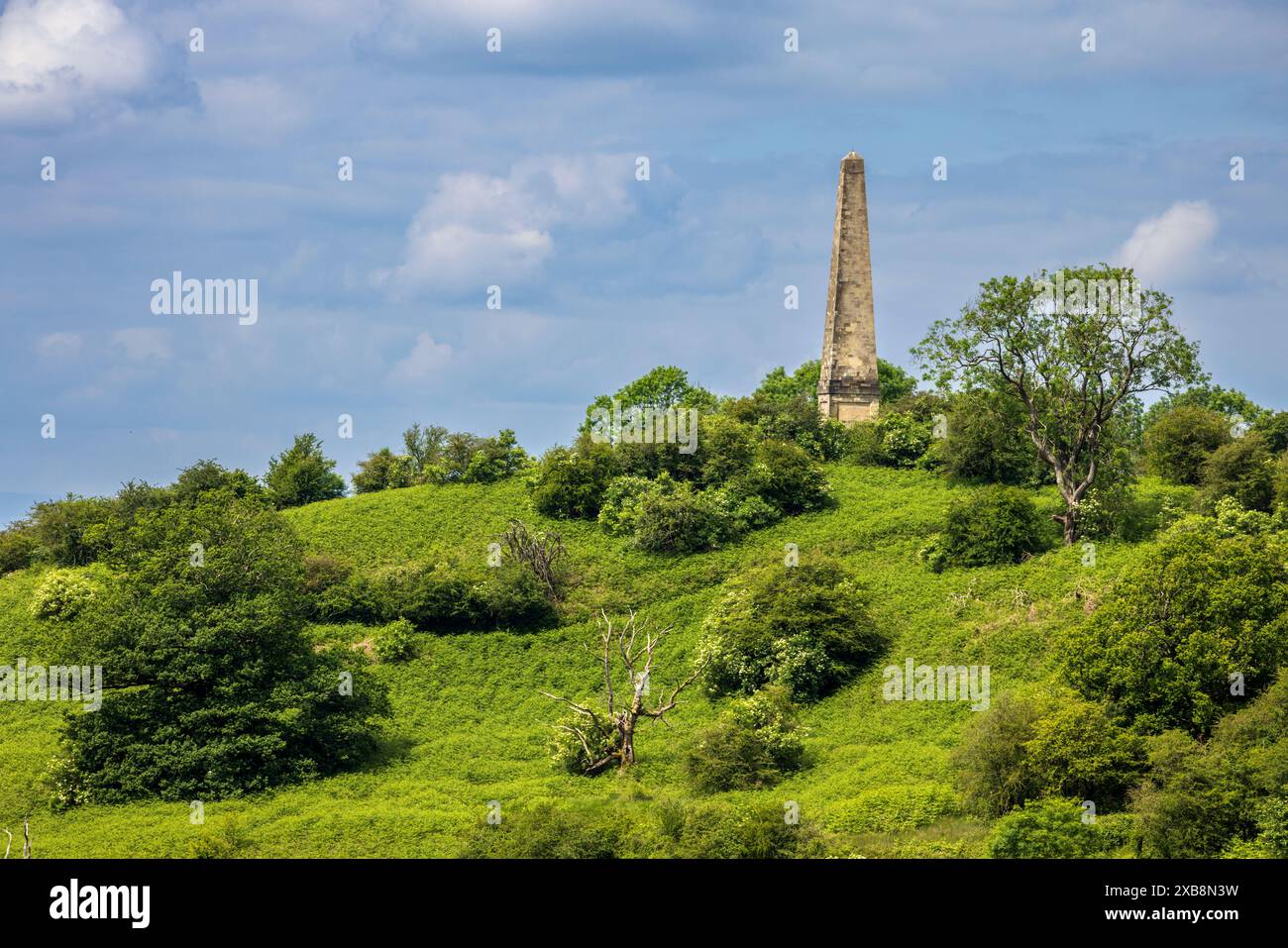 Eastnor castle obelisk hi-res stock photography and images - Alamy