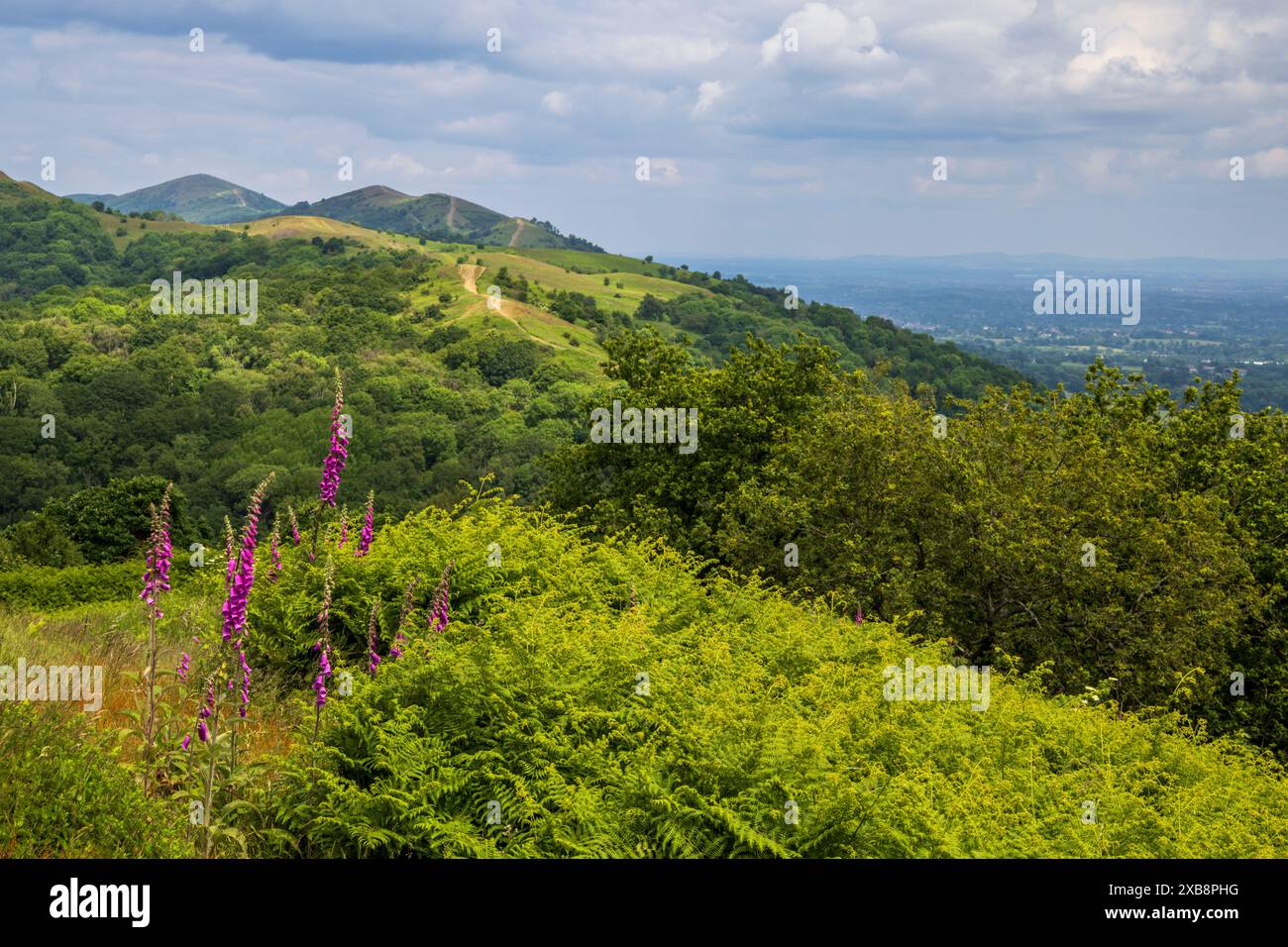 The Malverns from the ramparts of Midsummer Hill Iron Age Hillfort ...