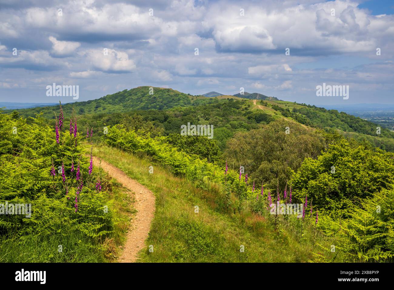 The Malverns from the ramparts of Midsummer Hill Iron Age Hillfort ...