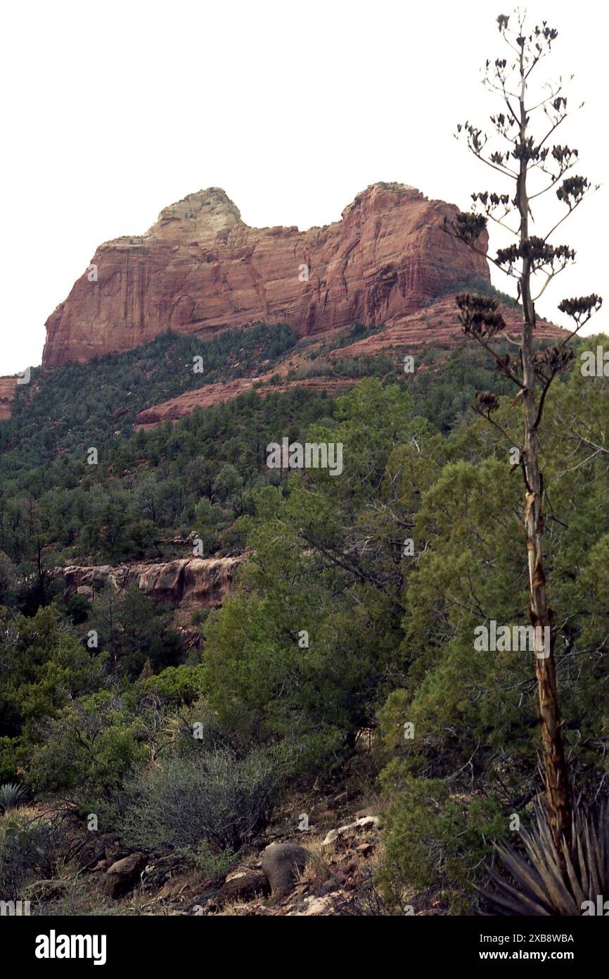 Ancient eroded rock formation near the city of Sedona, Arizona, U.S.A ...