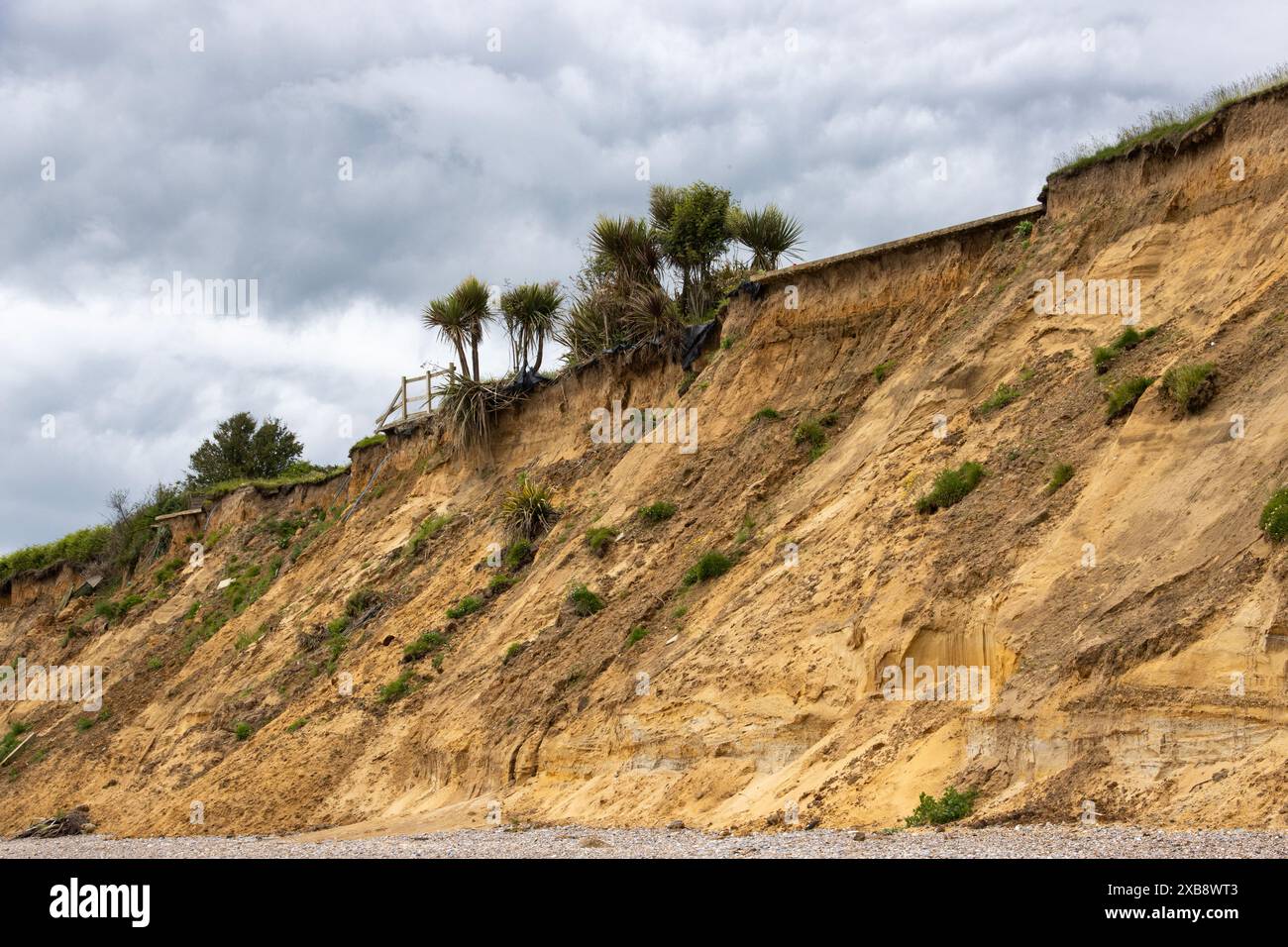 The light sand and gravel soil of the Suffolk coast are prone to ...