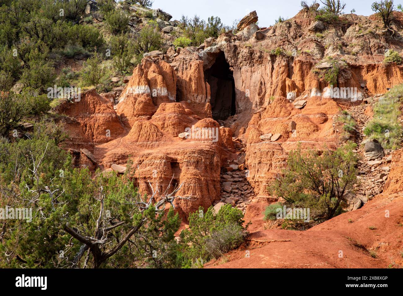 A path leading uphill to a dense forest cave Stock Photo - Alamy
