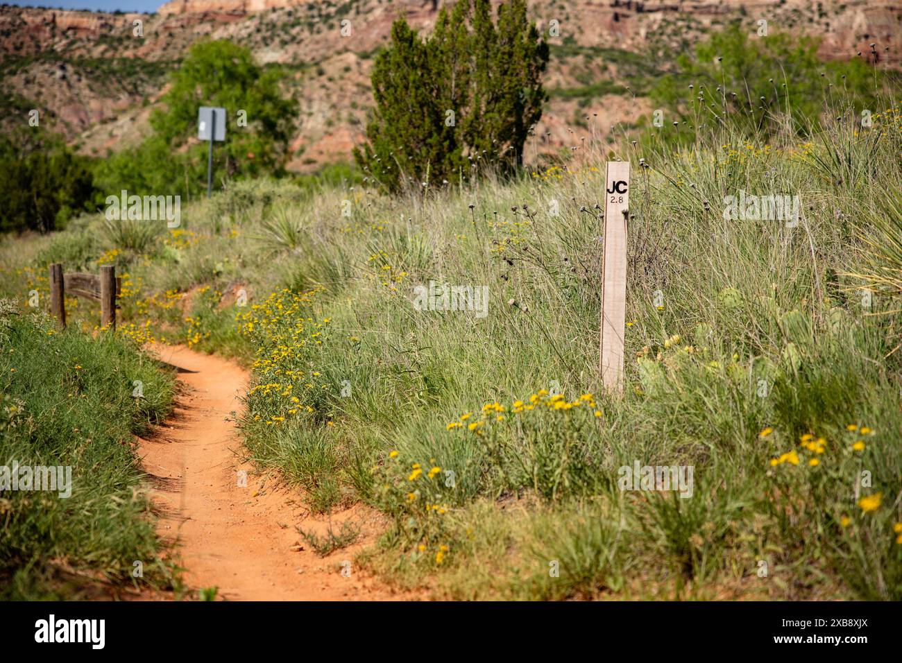 A trail through lush foliage with a clear path marker Stock Photo - Alamy