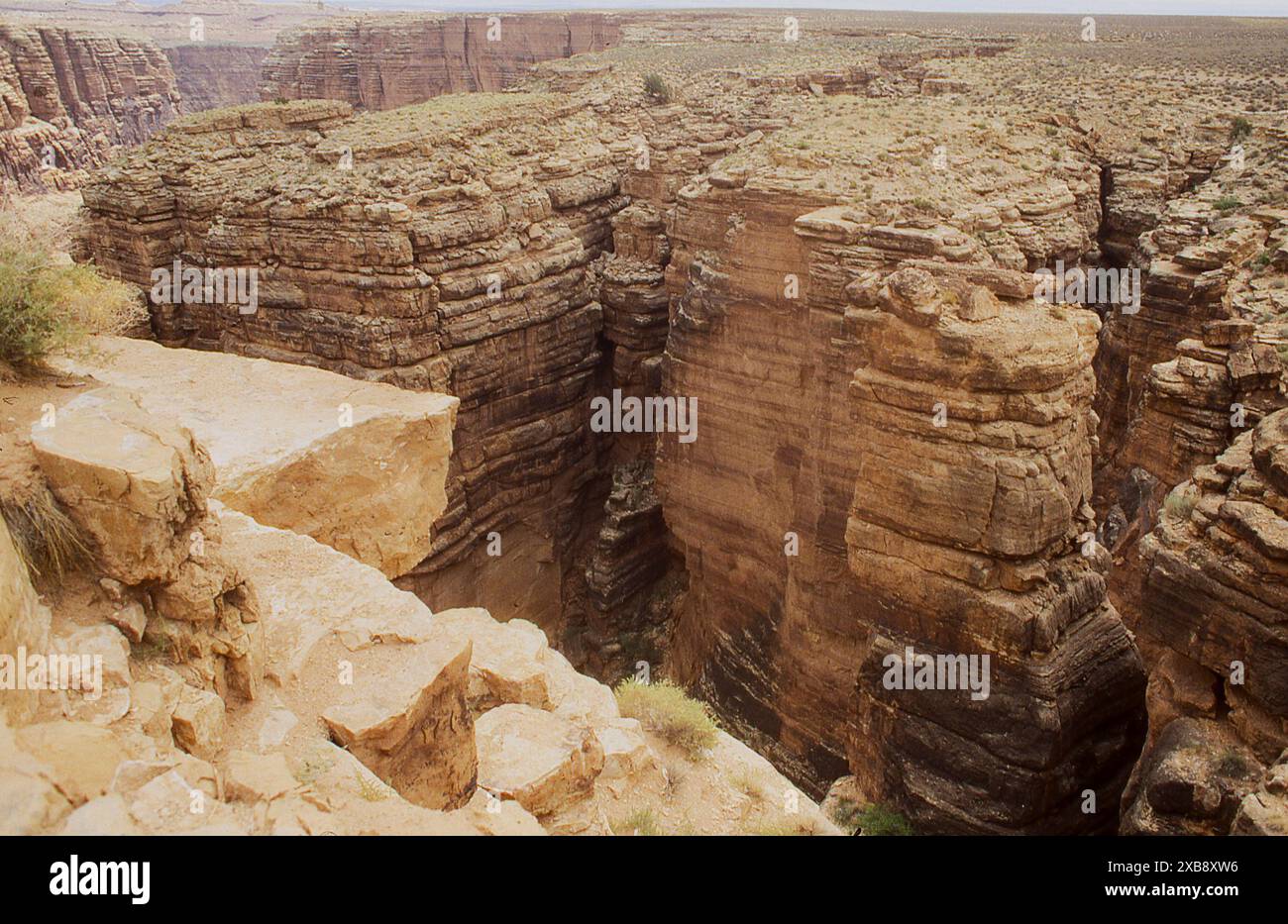Limestone in the Marble Canyon, Arizona, U.S.A., approx. 1992 Stock ...