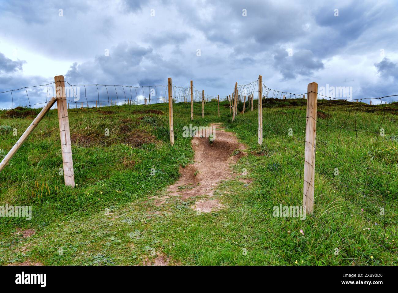 Wooden fence grass field hi-res stock photography and images - Alamy