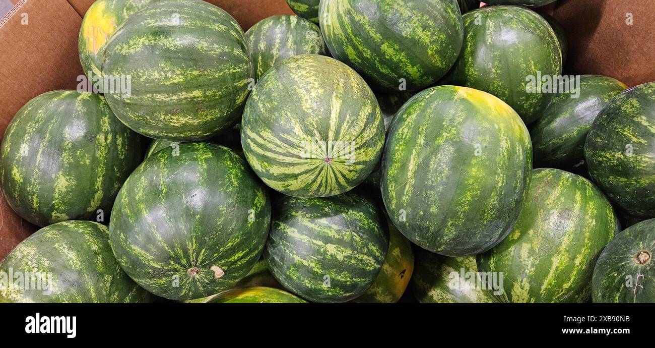 Shot of watermelons in a cardboard carton box Stock Photo - Alamy