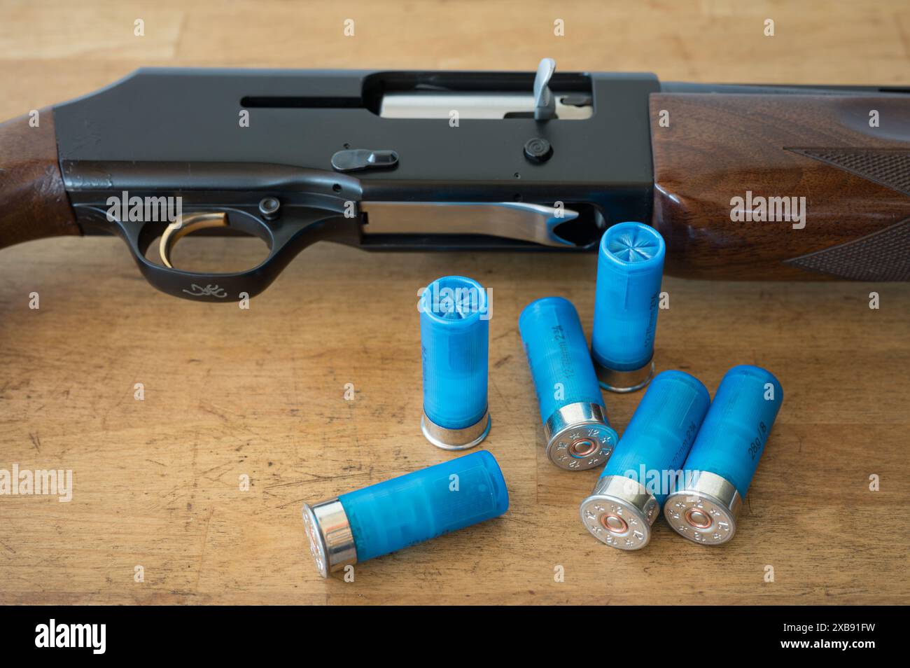 Detail of a 12 gauge semi-automatic shotgun and some shotshells on a ...