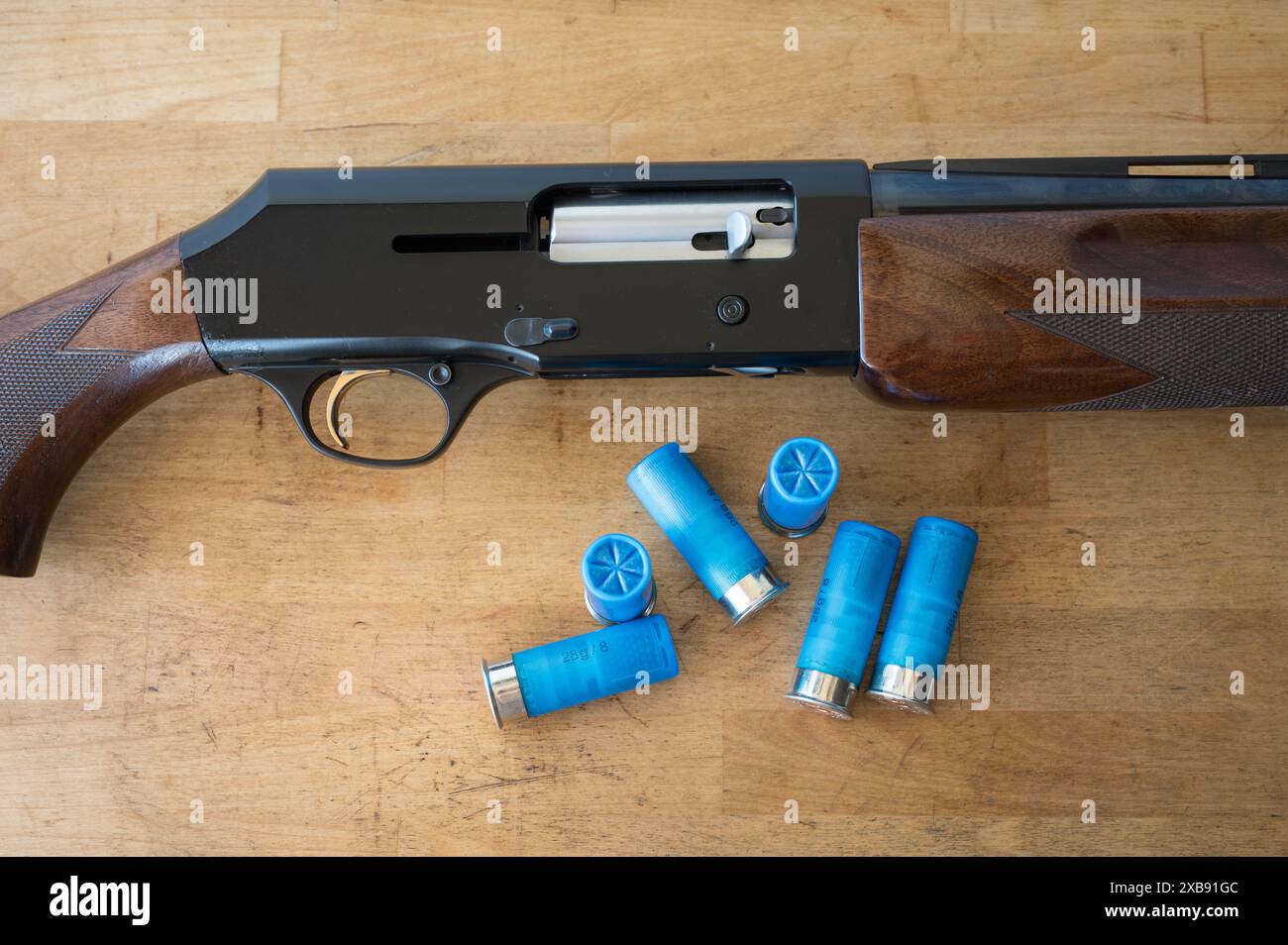 Detail of a 12 gauge semi-automatic shotgun and some shotshells on a ...