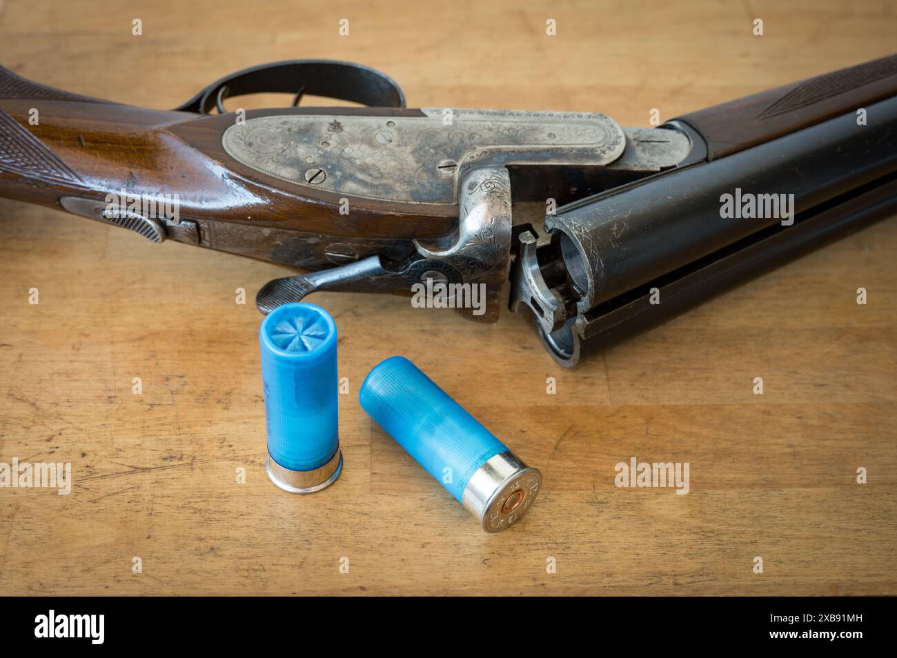 Nice old open parallel shotgun with some 12 gauge cartridges on a ...