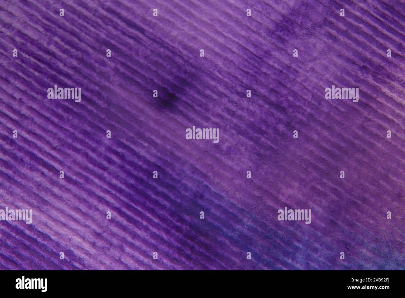abstract background: close up of violet and blue spots on striped ...