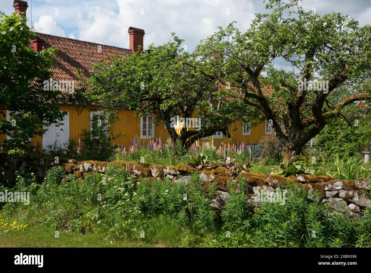 Traditional swedish farm house hi-res stock photography and images - Alamy