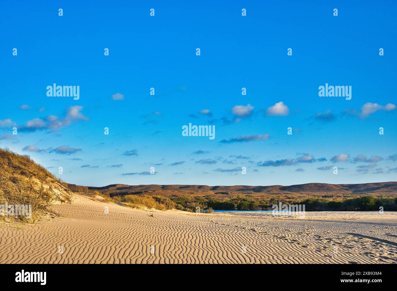 Ripples and footprints in the sand of the remote beach at the mouth of ...