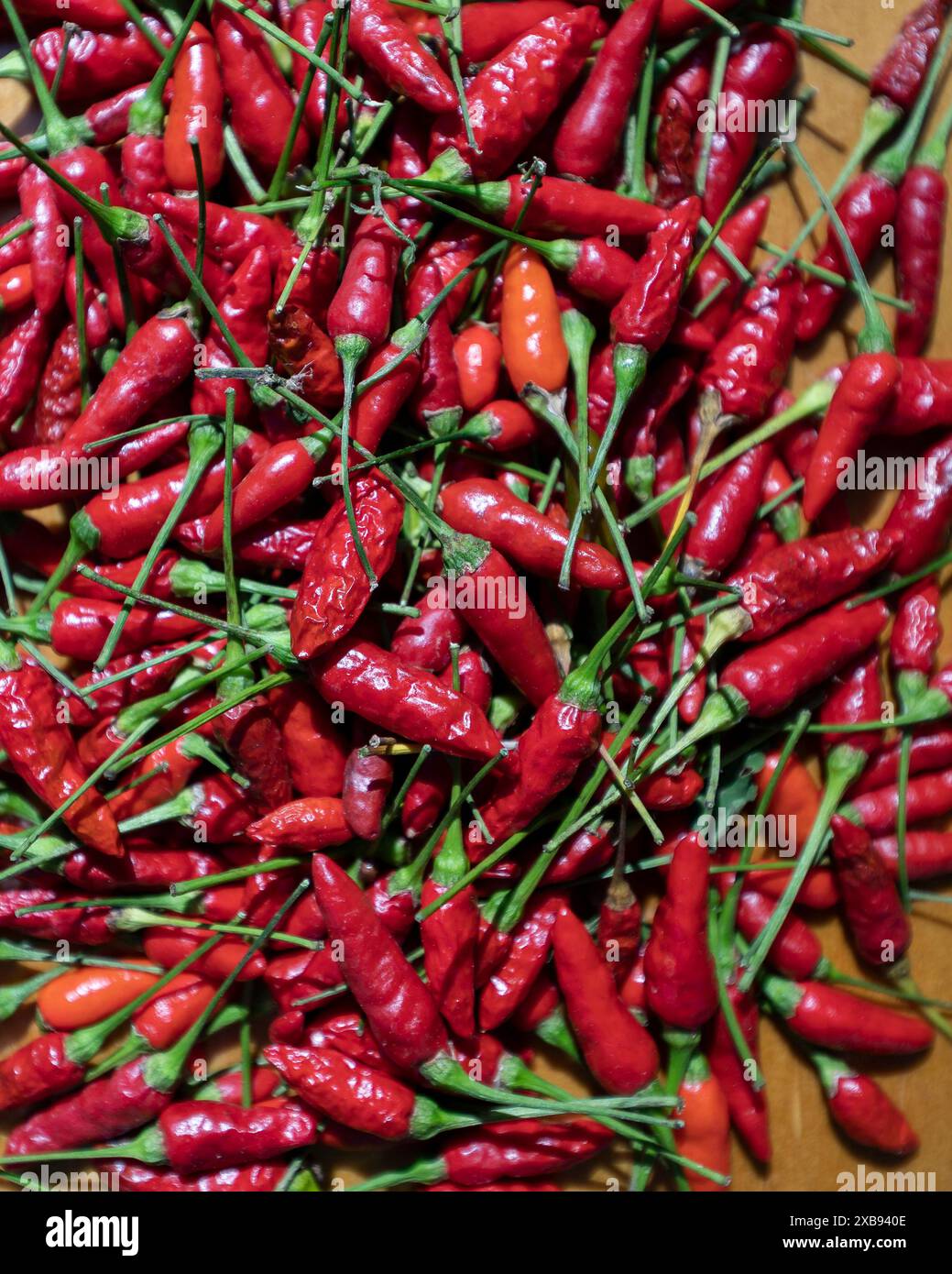 Red hot peppers in a cardboard box with green stems Stock Photo - Alamy