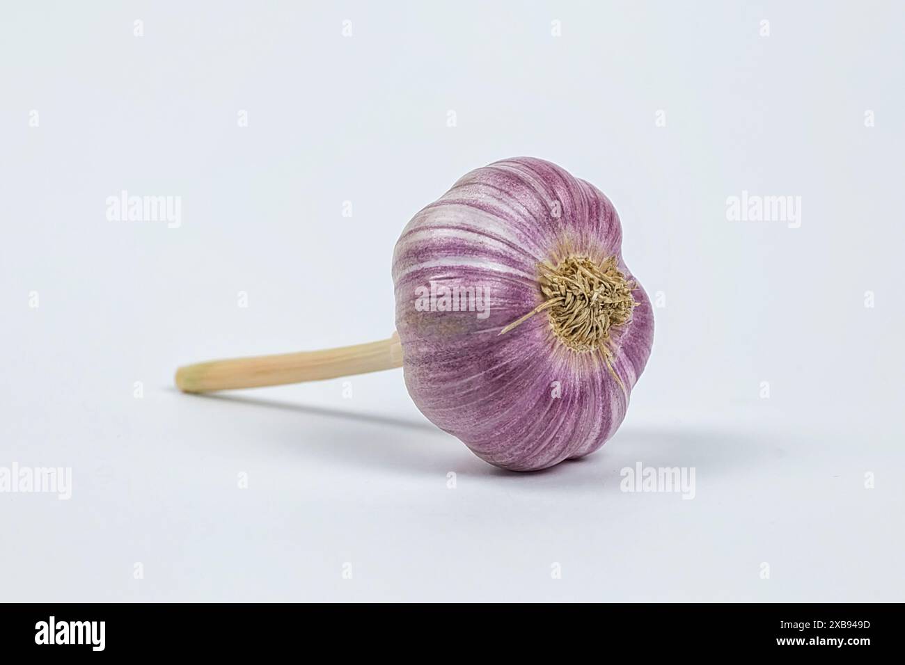 Onion garlic head parsley hi-res stock photography and images - Alamy