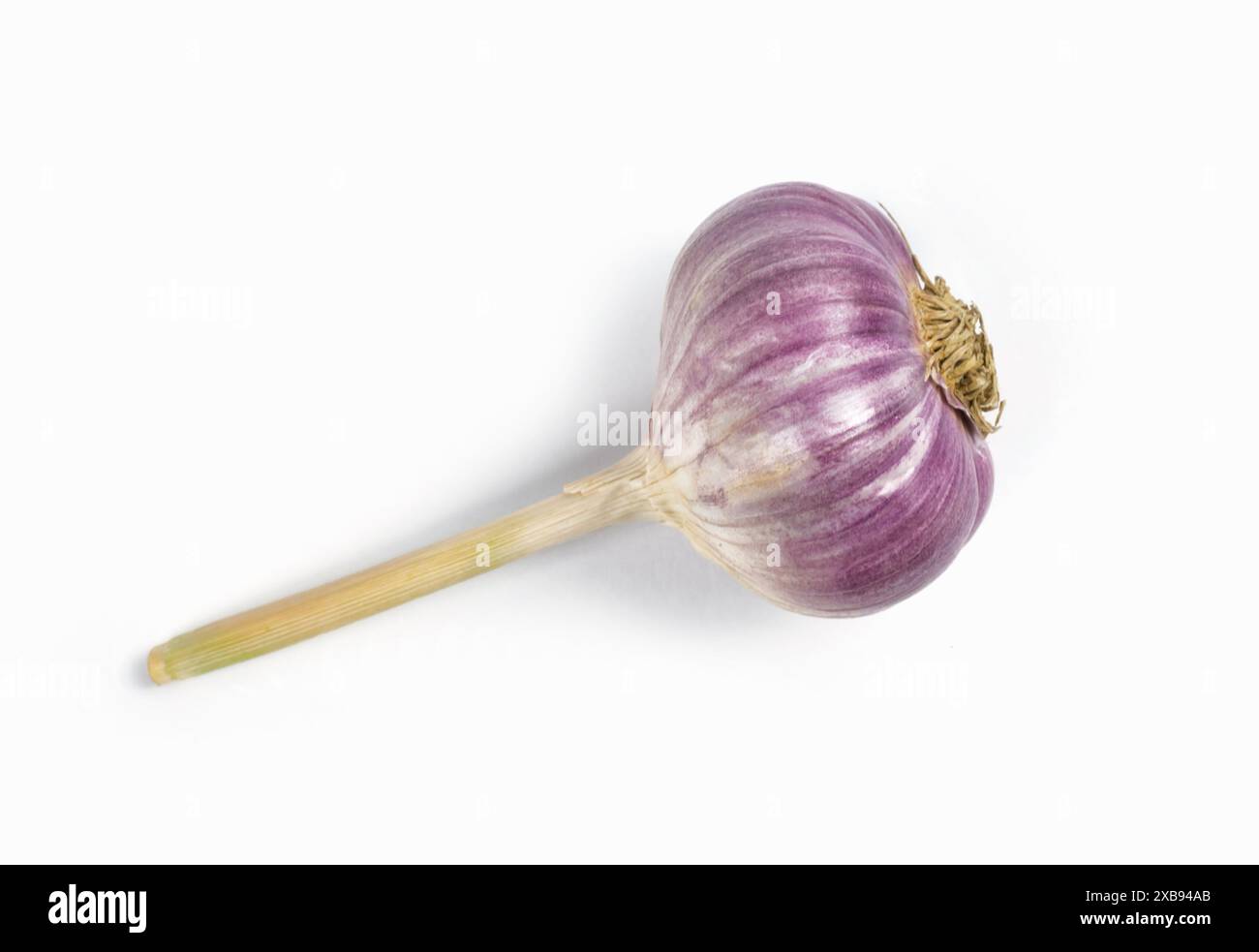 Onion garlic head parsley hi-res stock photography and images - Alamy