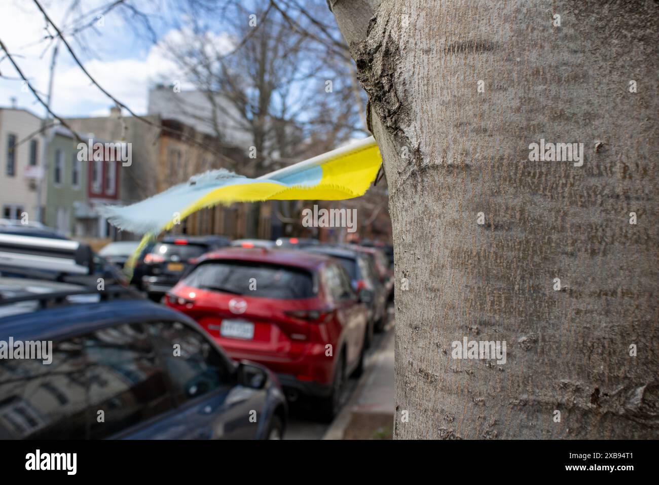 Paper scraps adhered to tree trunk surface Stock Photo - Alamy