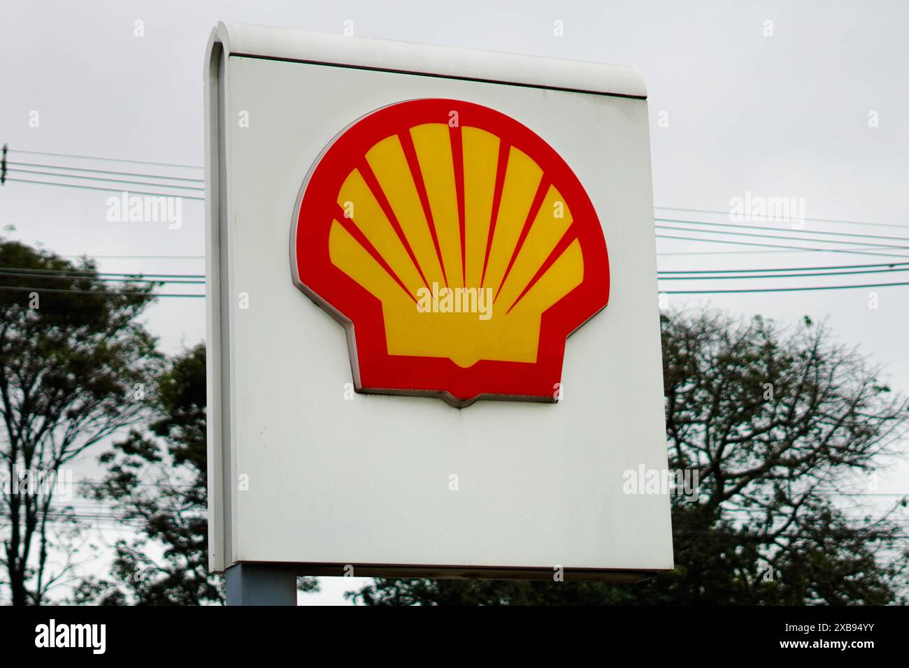 A Shell gas station. The prices of gasoline and diesel are expected to ...
