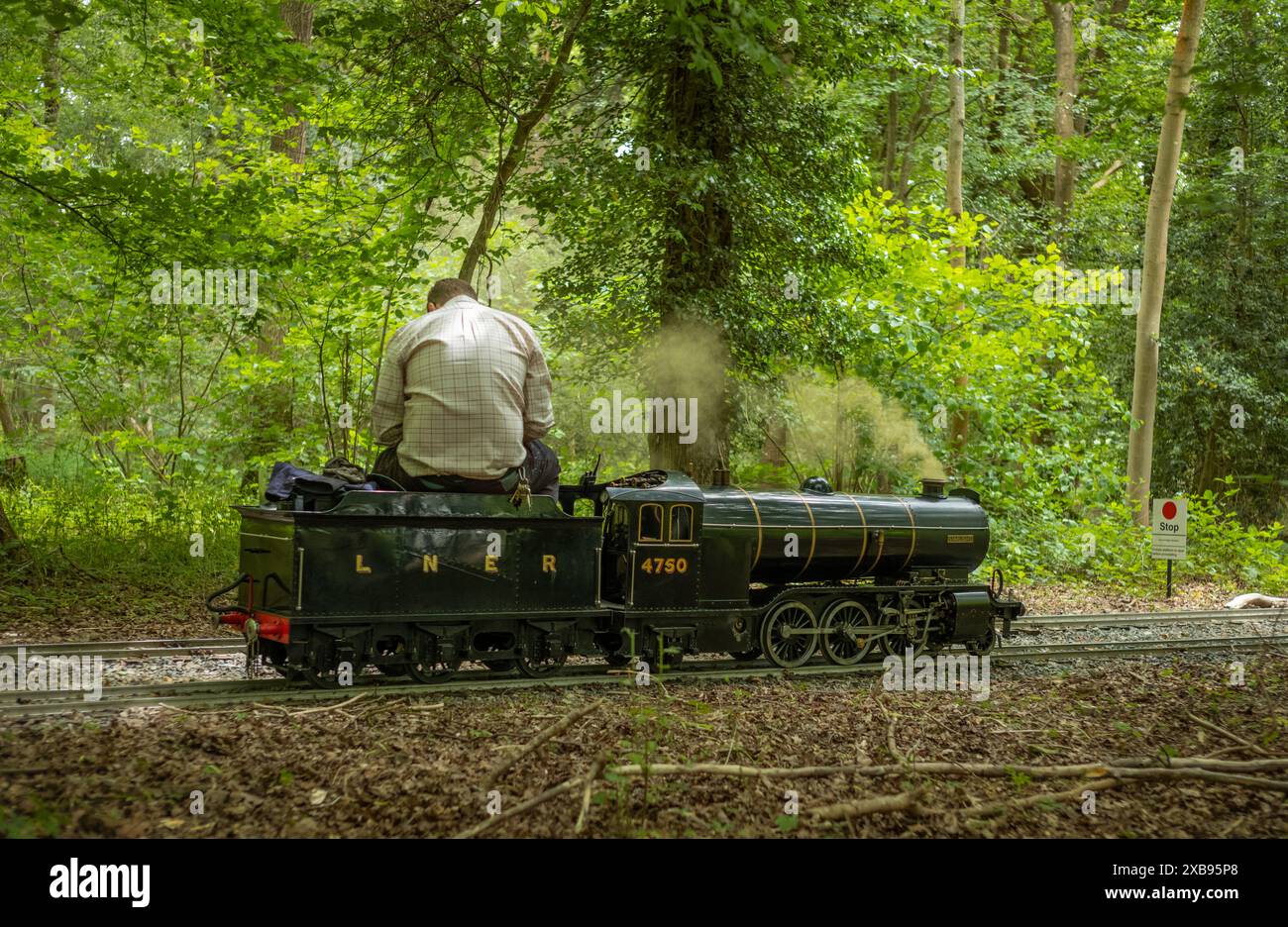 A train driver sits on a stationary minature narrow gauge steam train ...