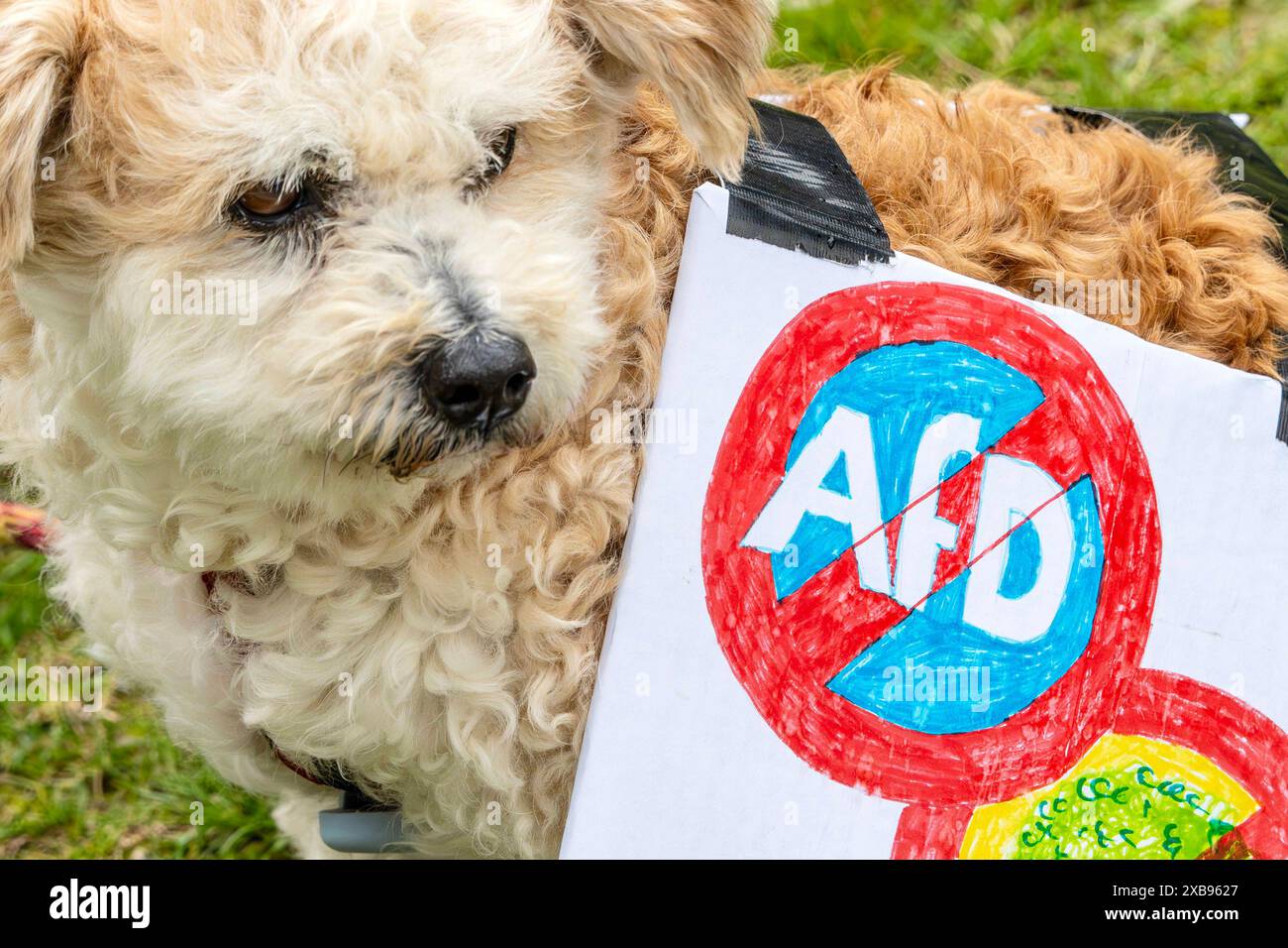 Demo gegen Rechts, Königsplatz, München, 8. Juni 2024 Deutschland ...