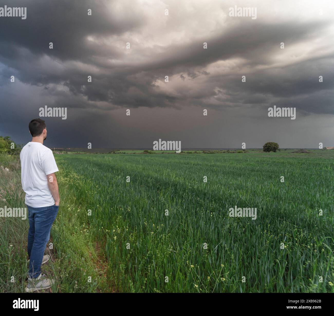 A Caucasian individual stands amidst a field, gazing in awe at the oncoming severe storm. It's ...