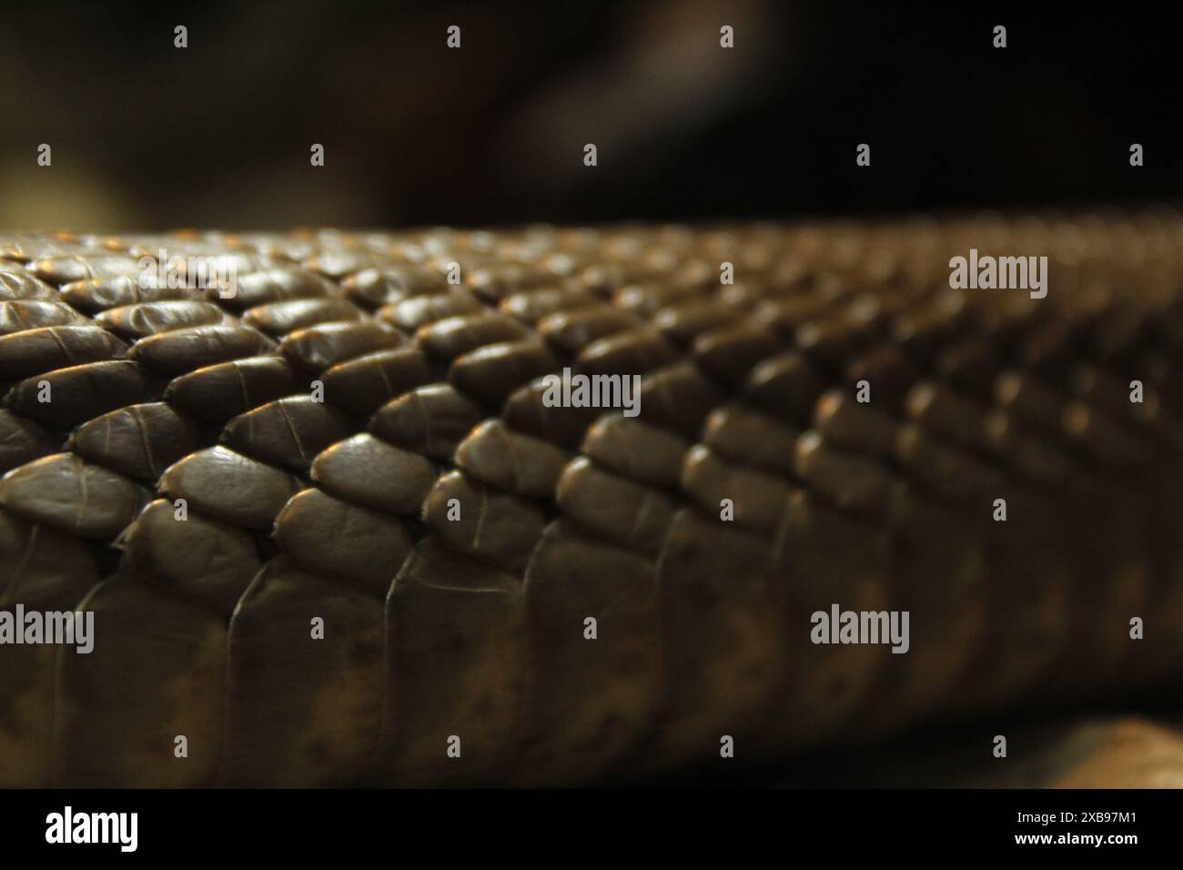 Empty gaze hi-res stock photography and images - Alamy