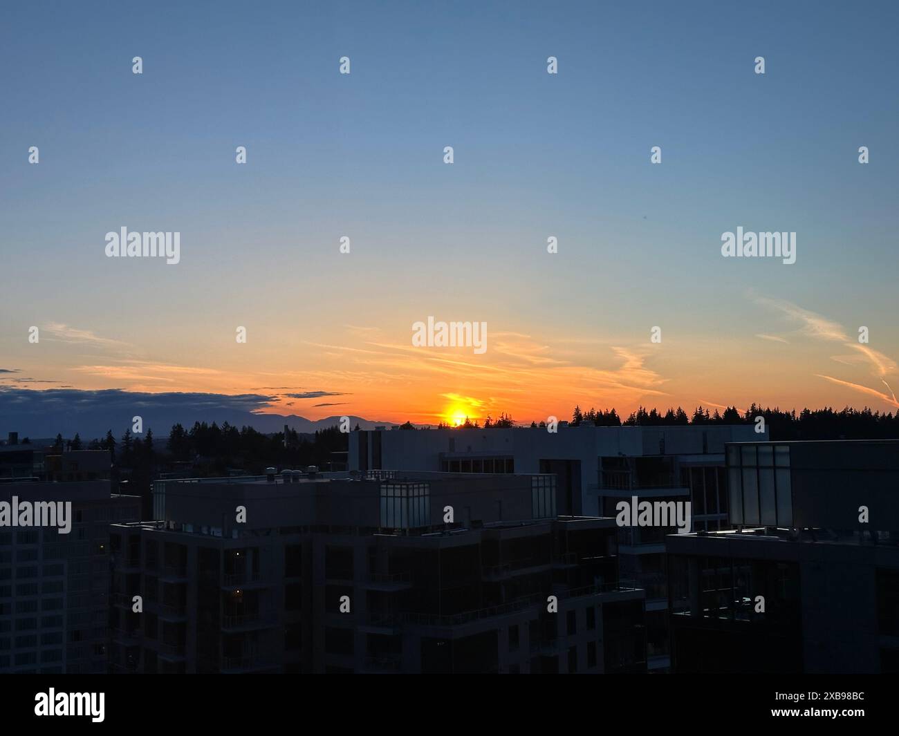 Skyline behind trees hi-res stock photography and images - Alamy