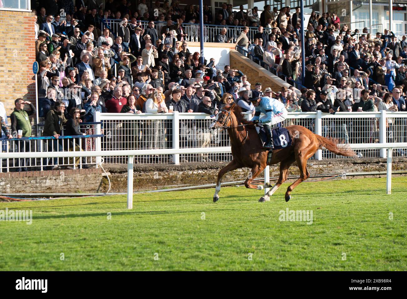 Highclere horse hi-res stock photography and images - Alamy