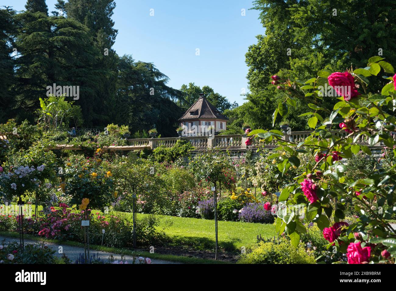 Insel Mainau, im italienischen Rosengarten *** Mainau Island, in the ...