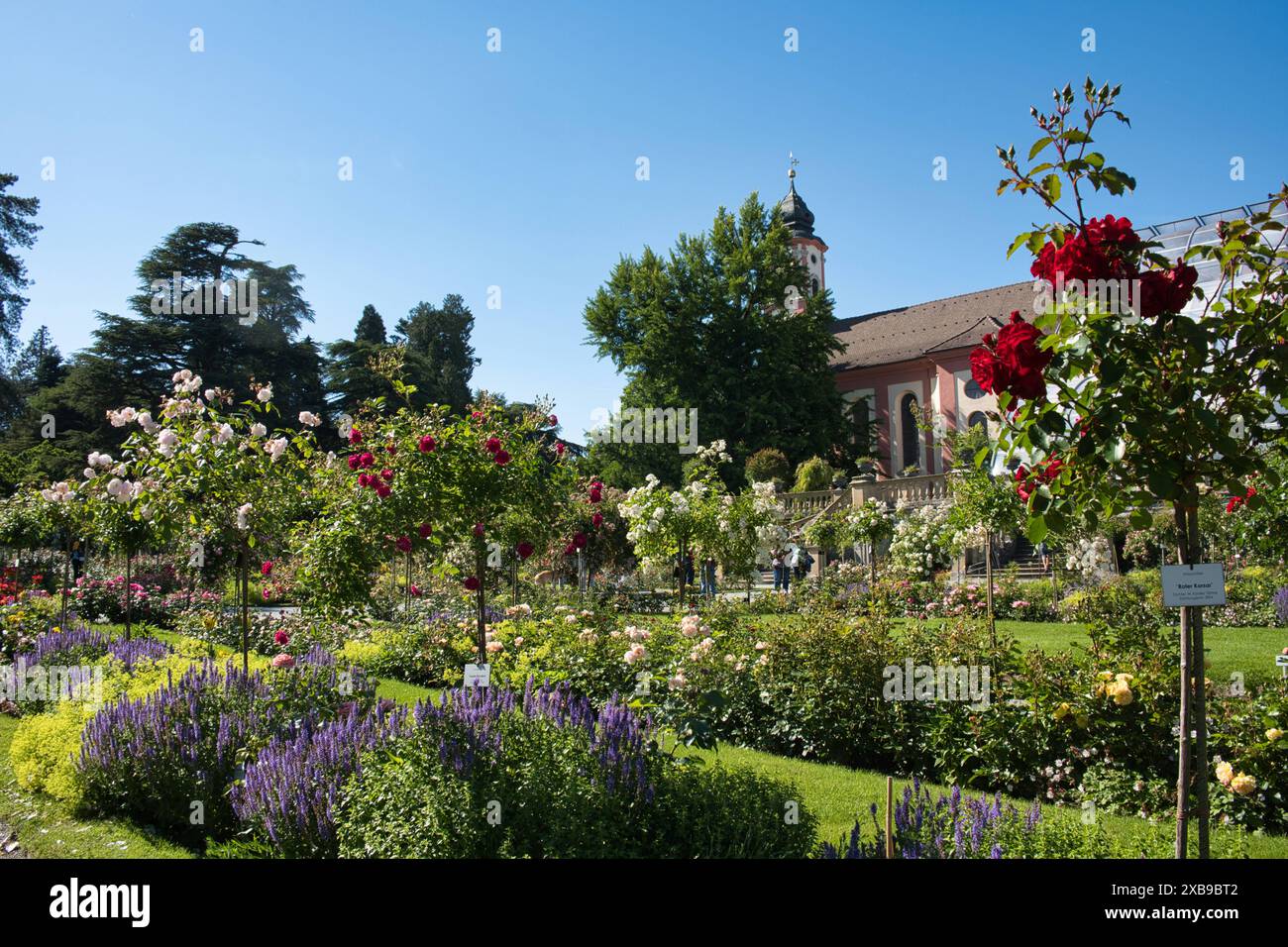 Insel Mainau, im italienischen Rosengarten *** Mainau Island, in the ...