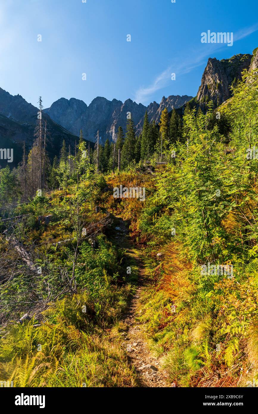 Javorova dolina valley with peaks above in High Tatras mountains in ...
