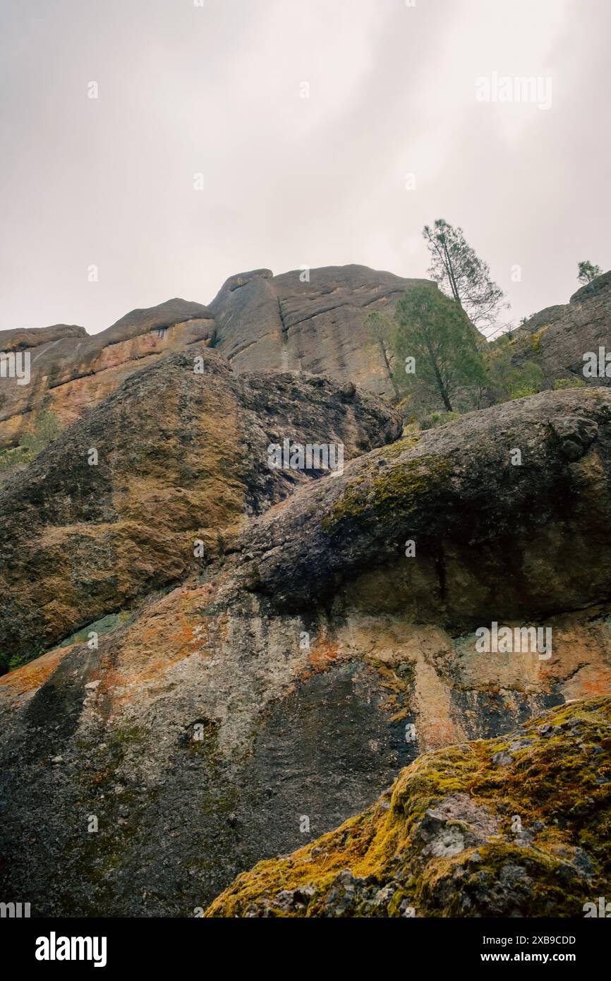 rocks, moss, tress, clouds on the edge of a cliff Stock Photo - Alamy