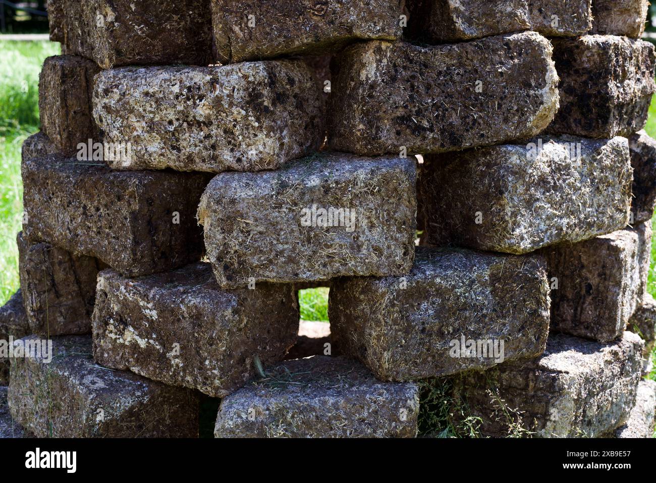 C8H13NO5 is a monumental biodegradable and ephemeral installation made ...