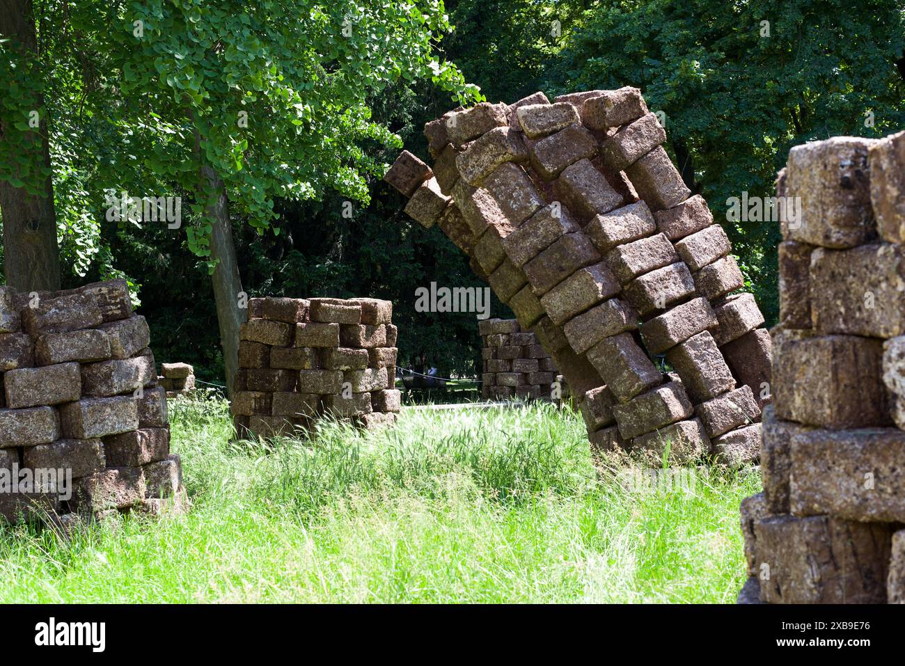 Cell wall of mushrooms hi-res stock photography and images - Alamy