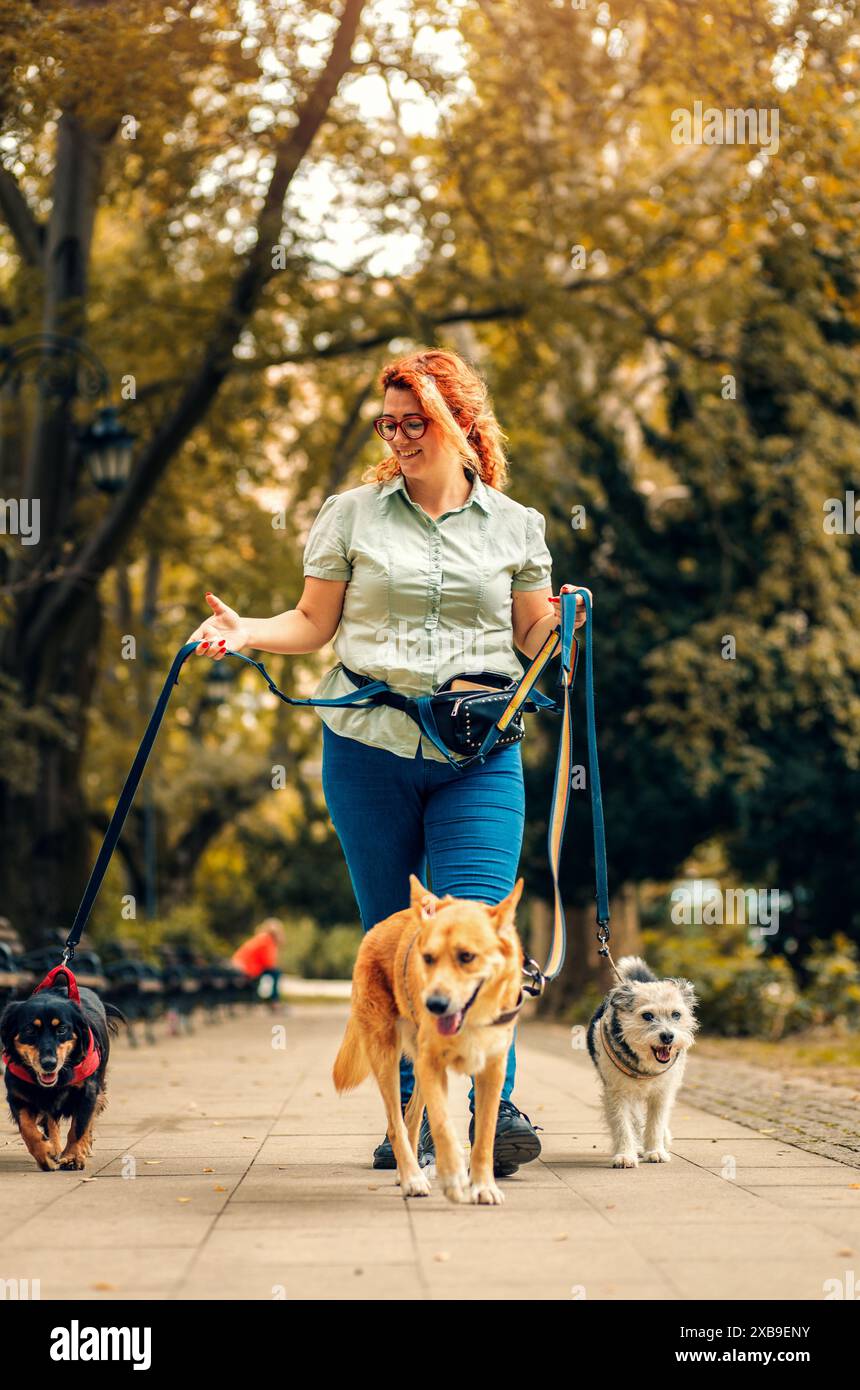 Female dog walker with dogs enjoying in city park Stock Photo - Alamy