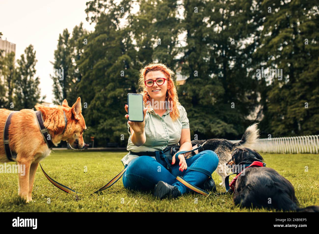 Female dog walker with dogs in city park showing smart phone towards ...