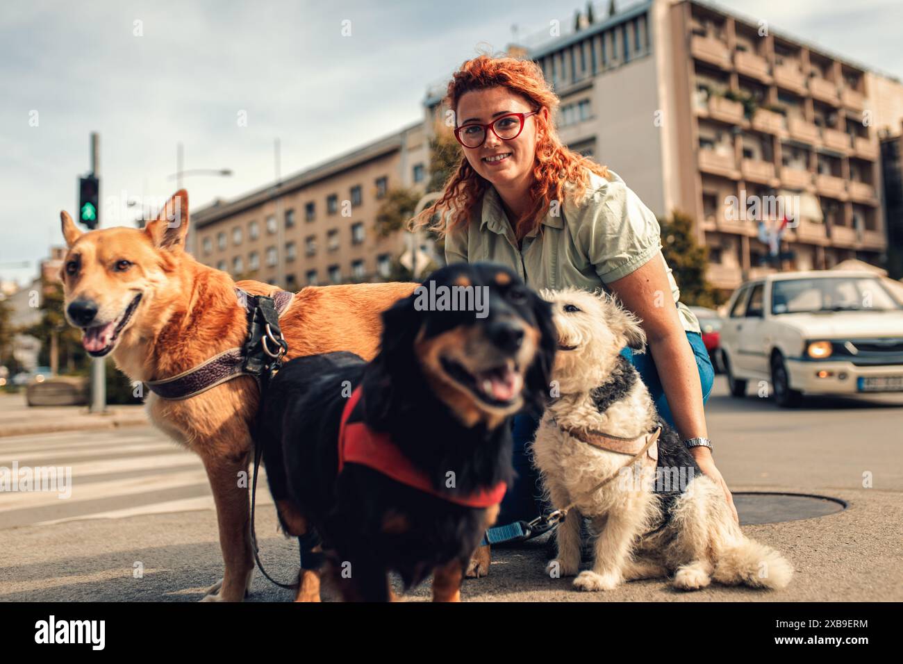 Female dog walker with dogs enjoying in city walk Stock Photo - Alamy