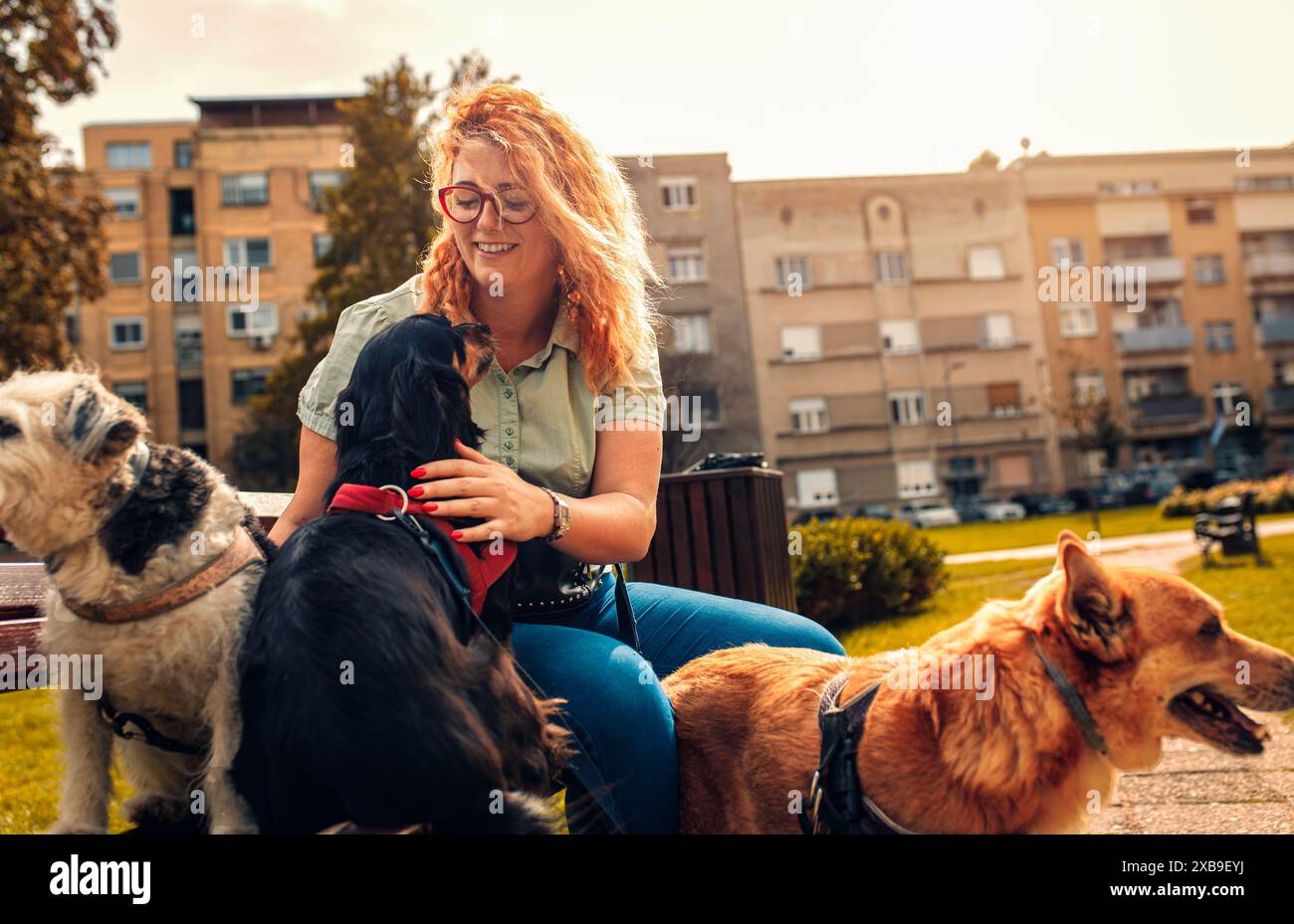 Female dog walker with dogs enjoying in city park while sitting on ...
