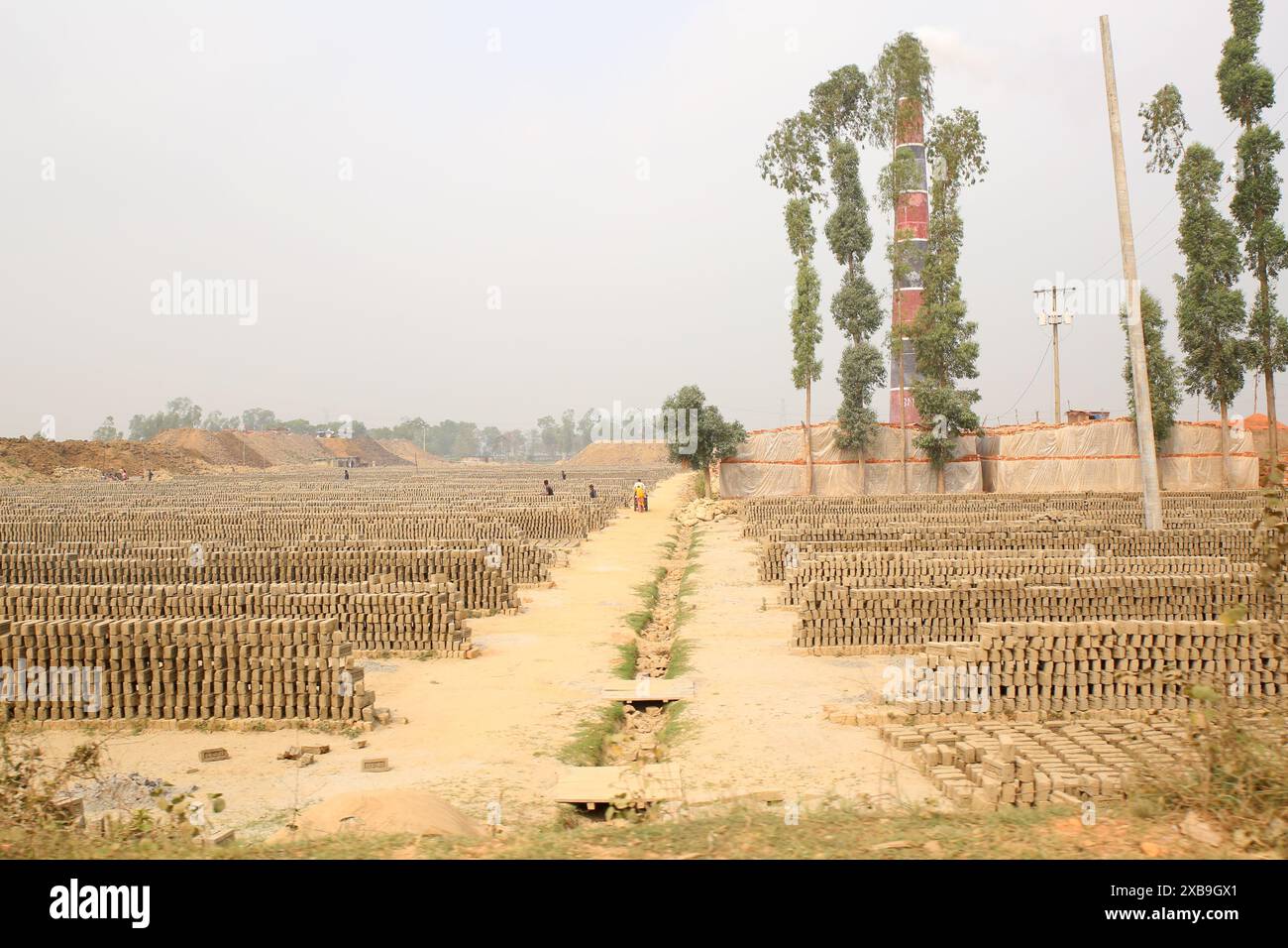 Soil mud bricks in an open field are left to dry in the sun before ...