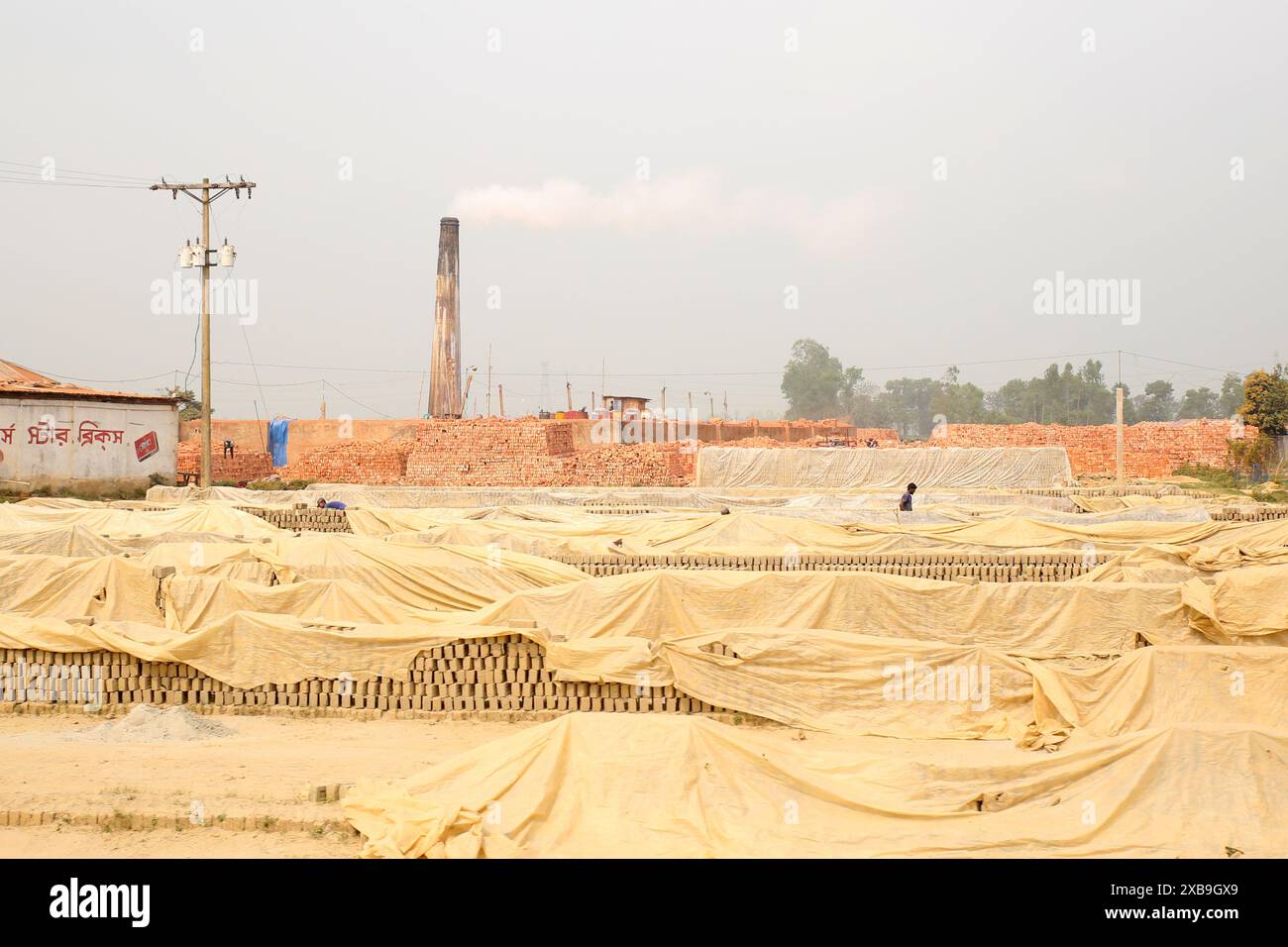 Soil mud bricks in an open field are left to dry in the sun before ...