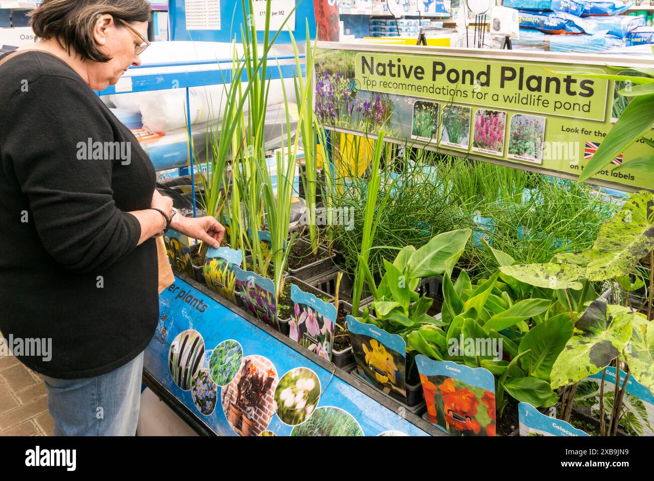 A woman looks at a garden centre display of native pond plants for ...