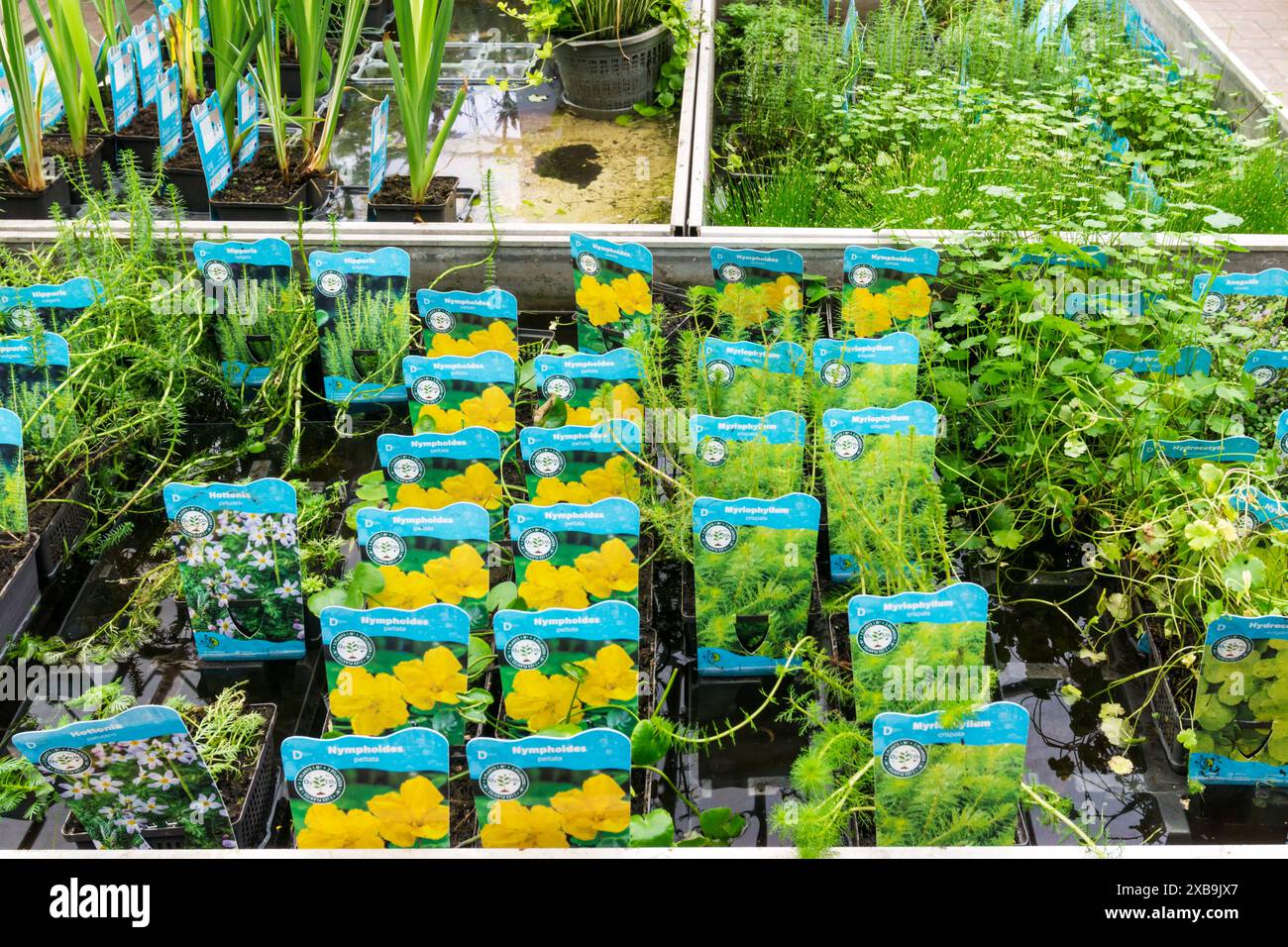 Storage shopping centre hi-res stock photography and images - Alamy