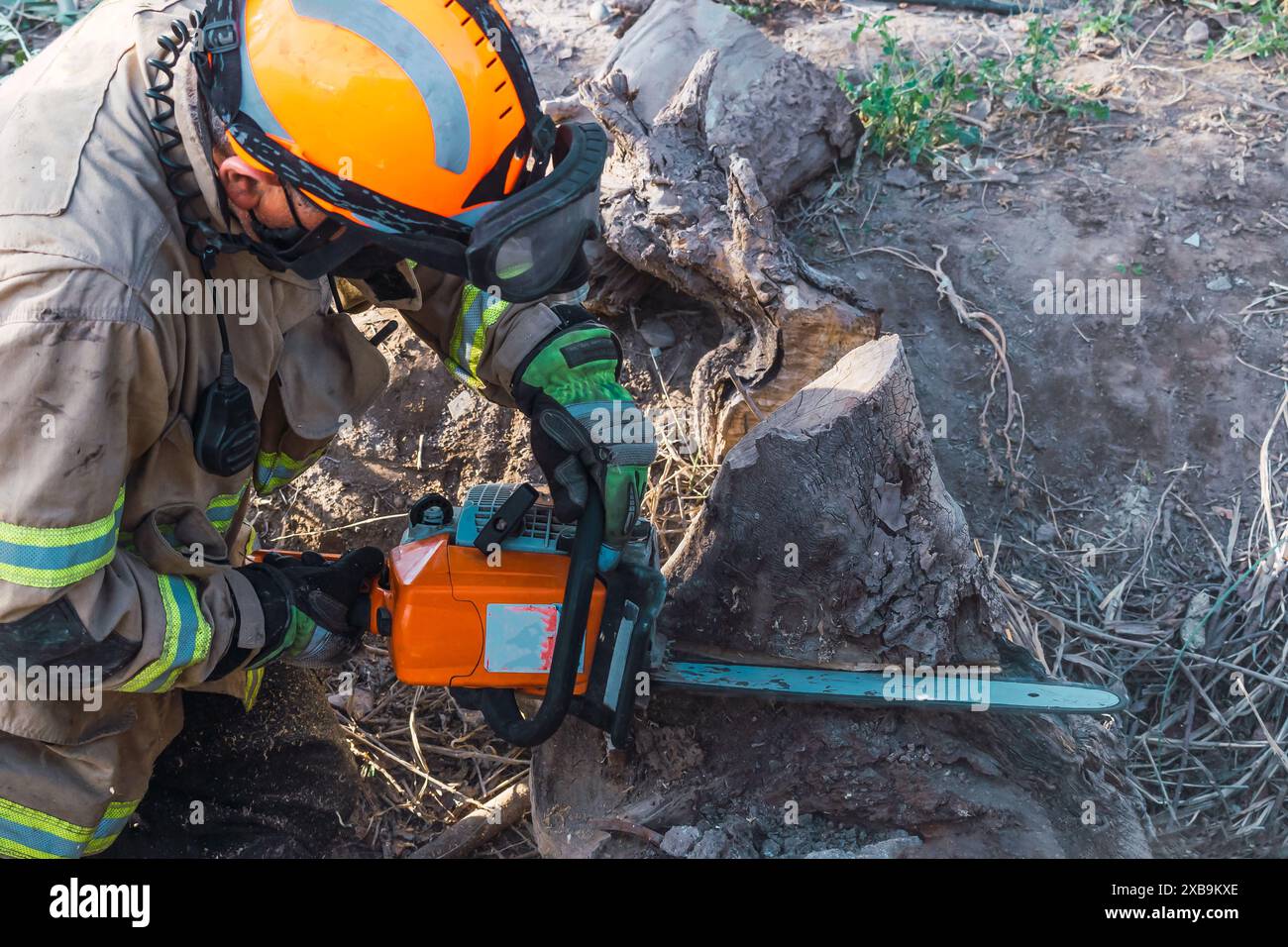 Firefighter portrait fire forest hi-res stock photography and images ...