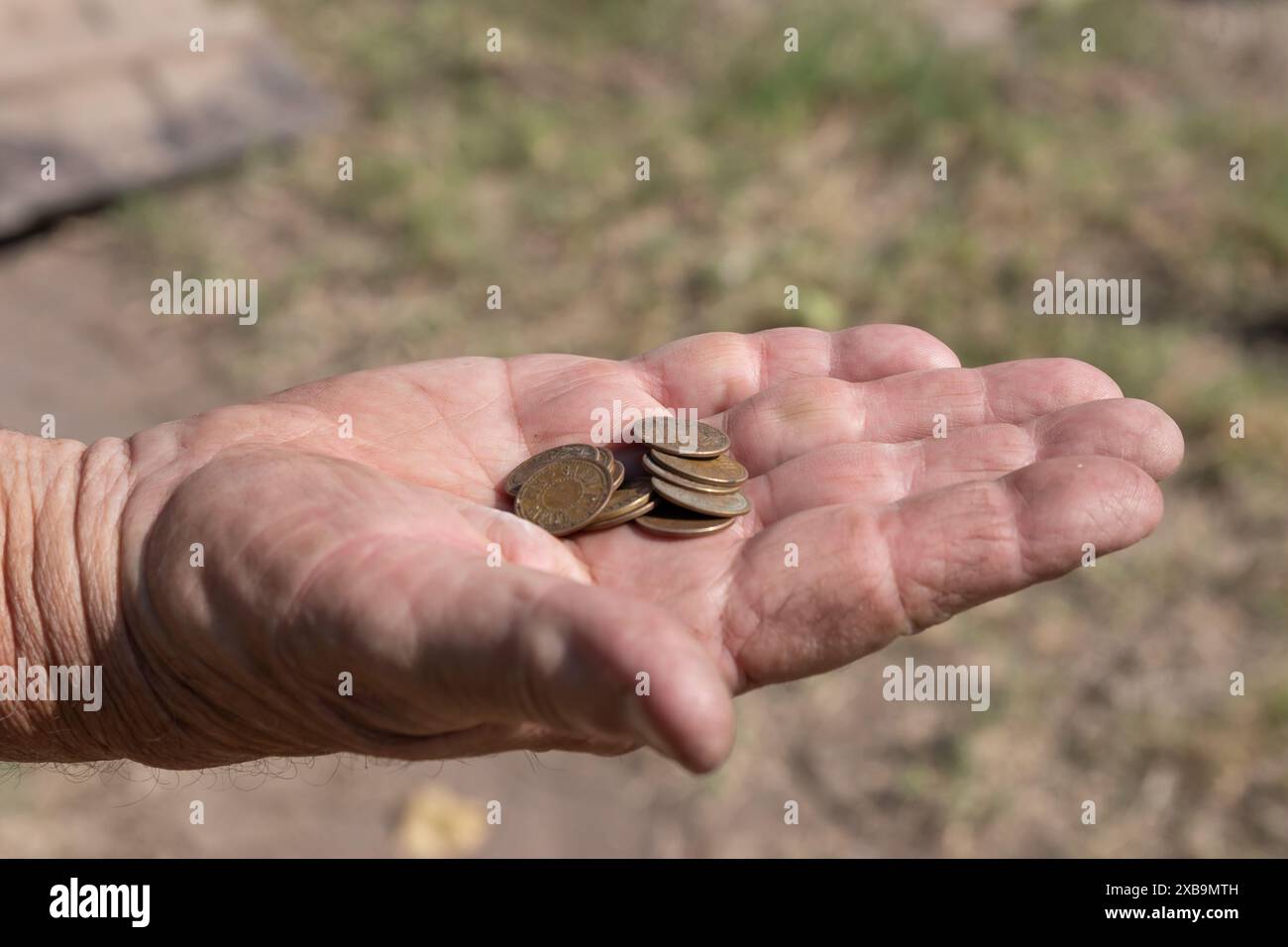 man hand with payment tokens at grape harvest Stock Photo - Alamy