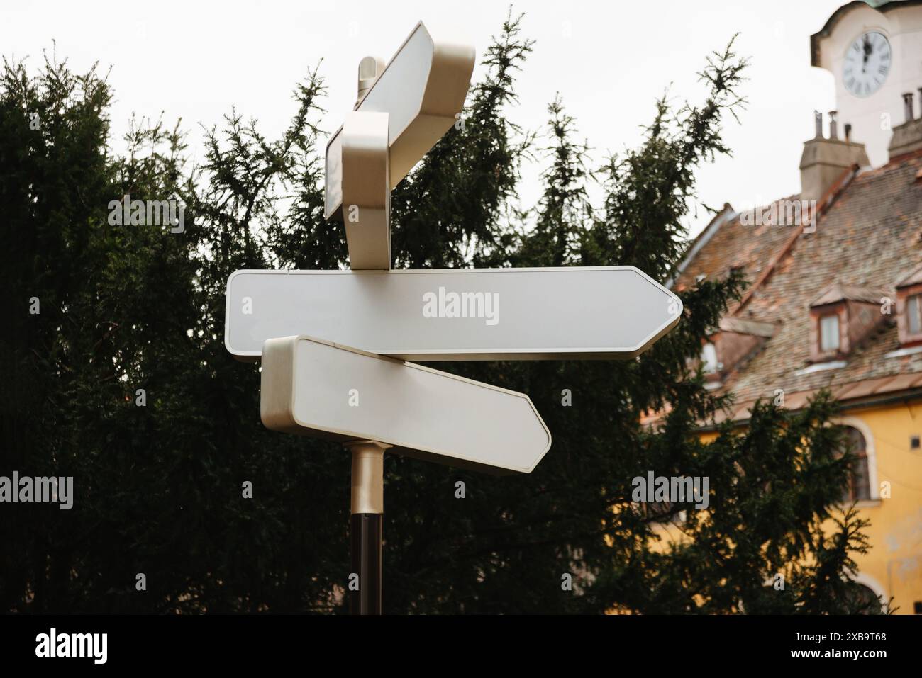 Multiple blank street signs point in various directions, set against a ...