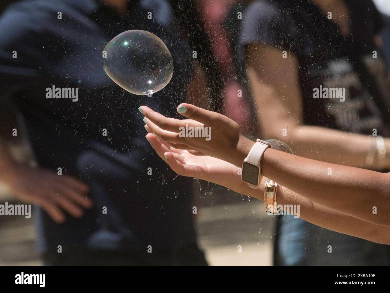 Hand anatomie mensch hi-res stock photography and images - Alamy