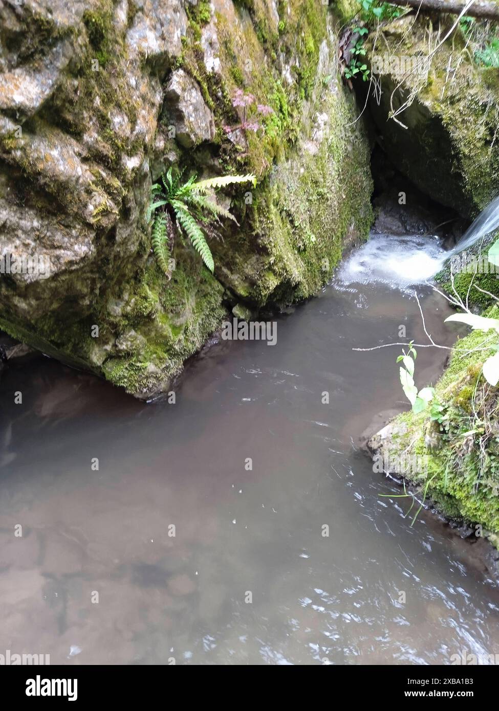 Water waste and renaturation in a modern society Water waste and ...